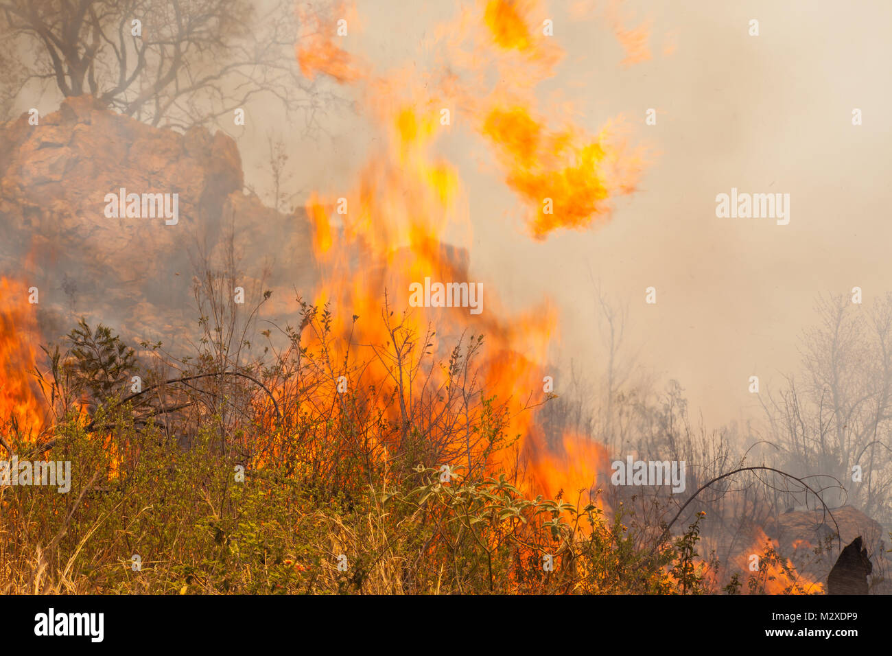 Smoke brush hi-res stock photography and images - Alamy