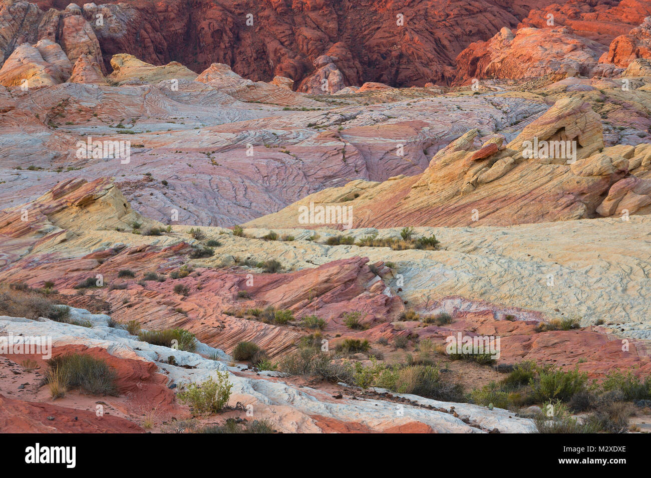 Colorful stone in Valley of Fire State Park, Nevada. USA Stock Photo ...