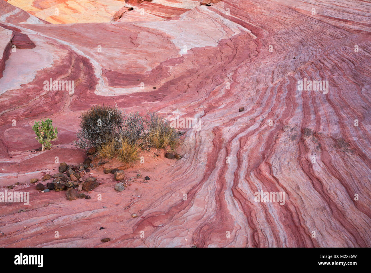 Colorful stone in Valley of Fire State Park, Nevada. USA Stock Photo ...