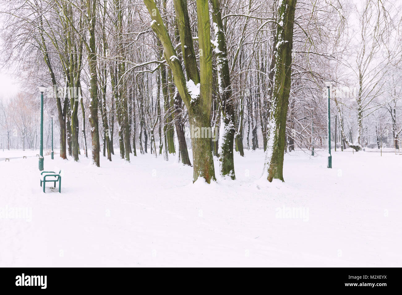 winter view. Snowy park Stock Photo - Alamy