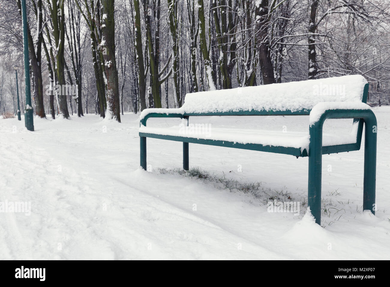 snow-covered bench in the parks Stock Photo - Alamy