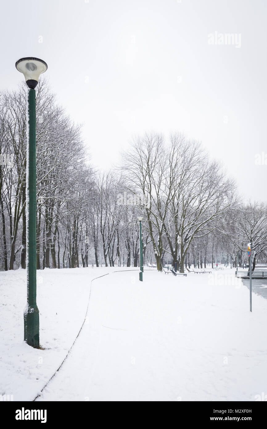 winter view. Snowy park Stock Photo - Alamy