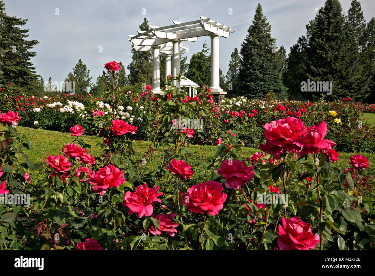 Rose hill garden manito park hi-res stock photography and images - Alamy