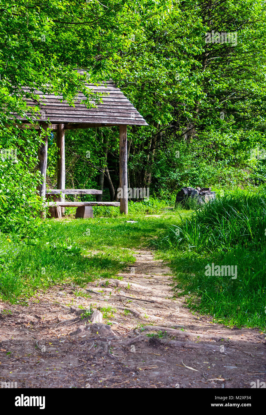 bower on the footpath in forest. lovely nature scenery in springtime ...