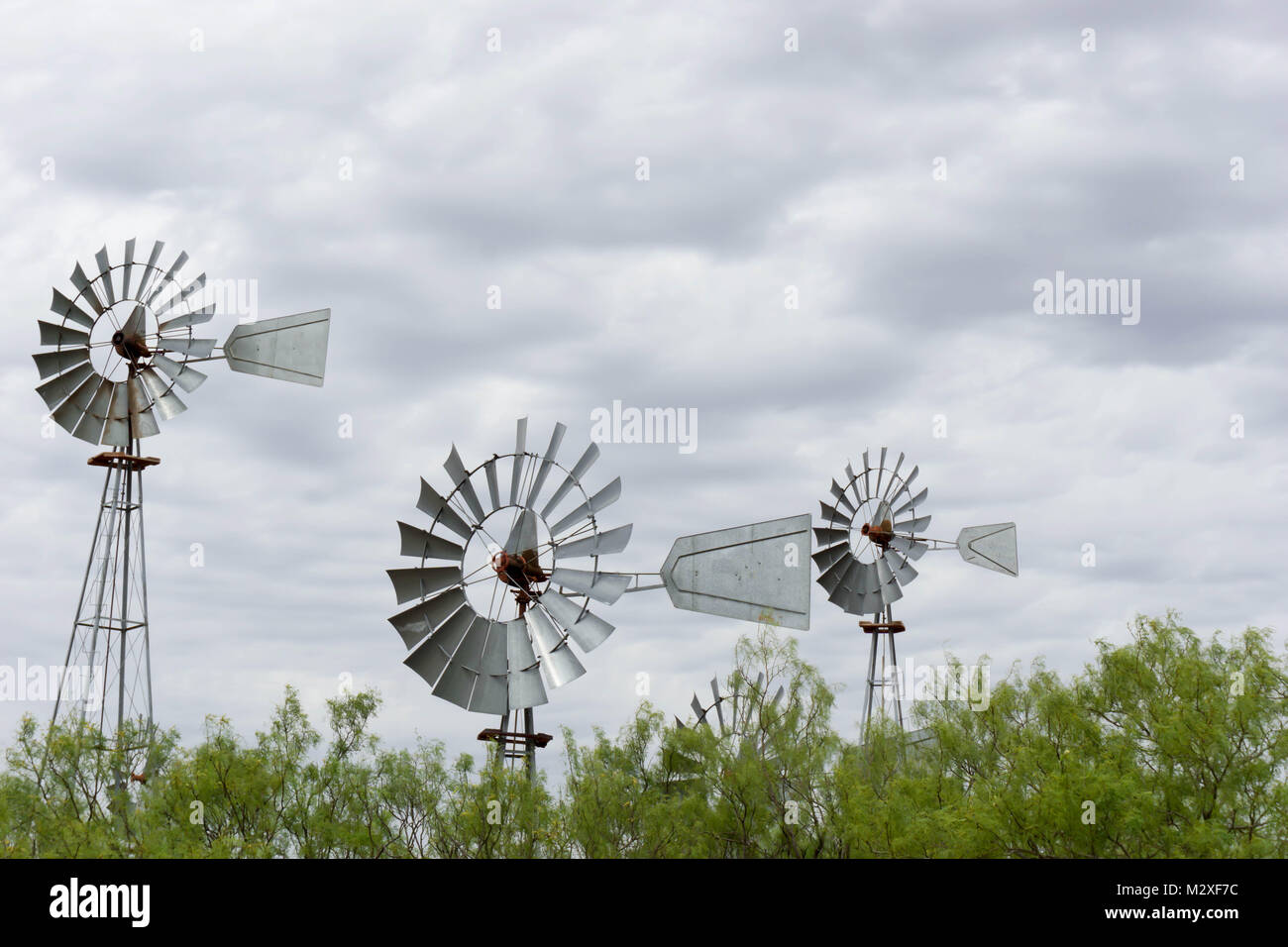 traditional prairie pinwheel windmills on the plains of northern Texas ...