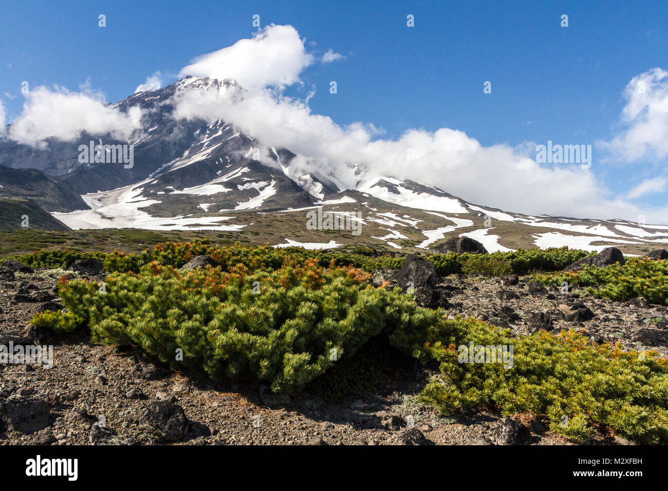 Koryaksky is the active volcano of Kamchatka Peninsula (Russia Stock ...