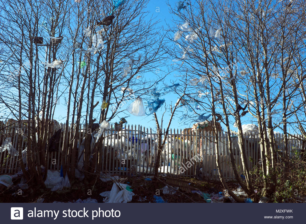 Waste Plastic Bags High Resolution Stock Photography and Images - Alamy
