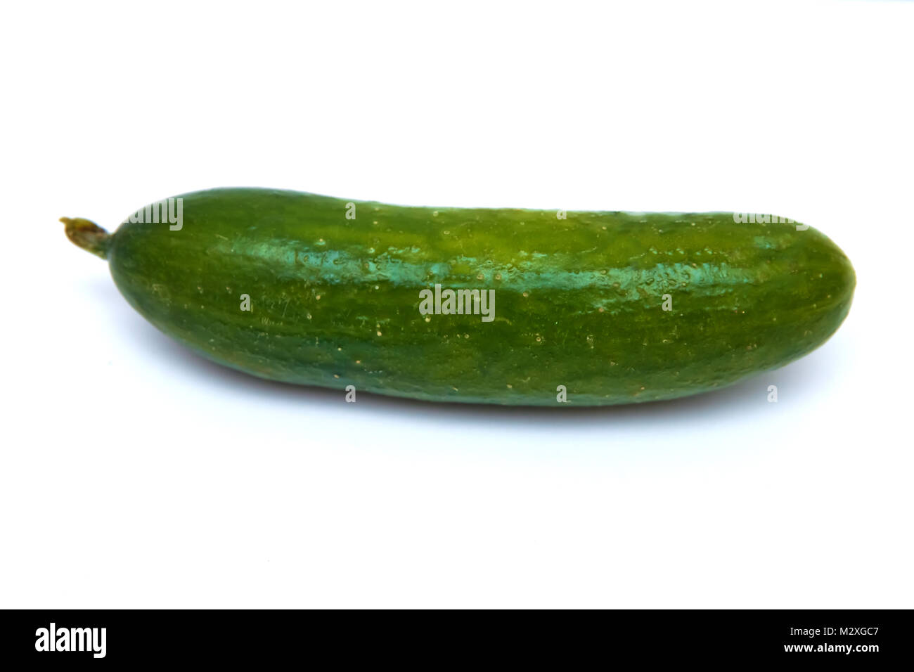 Fresh single cucumber isolated on white background Stock Photo - Alamy