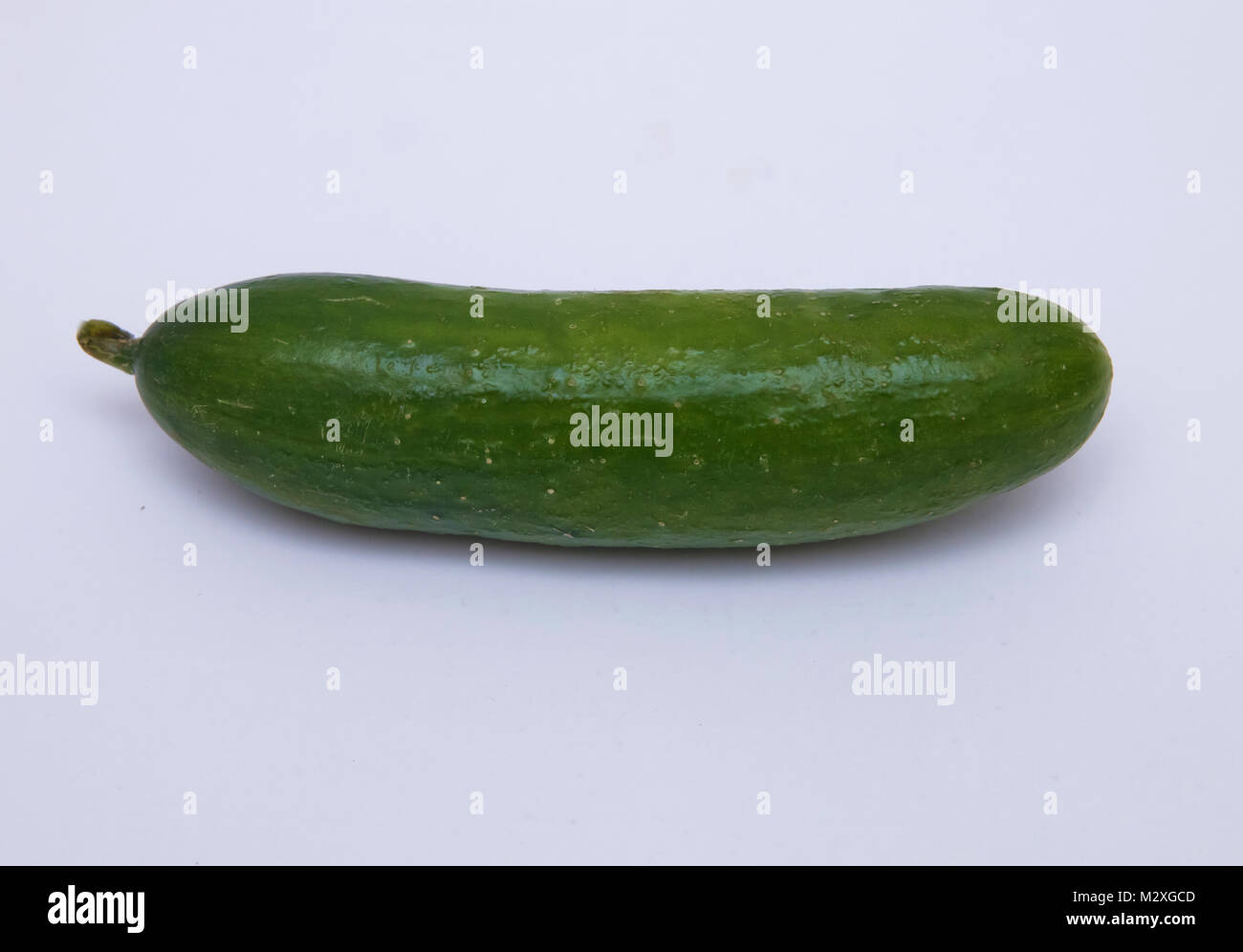 Cucumber isolated on white background . Fresh single cucumber isolated ...