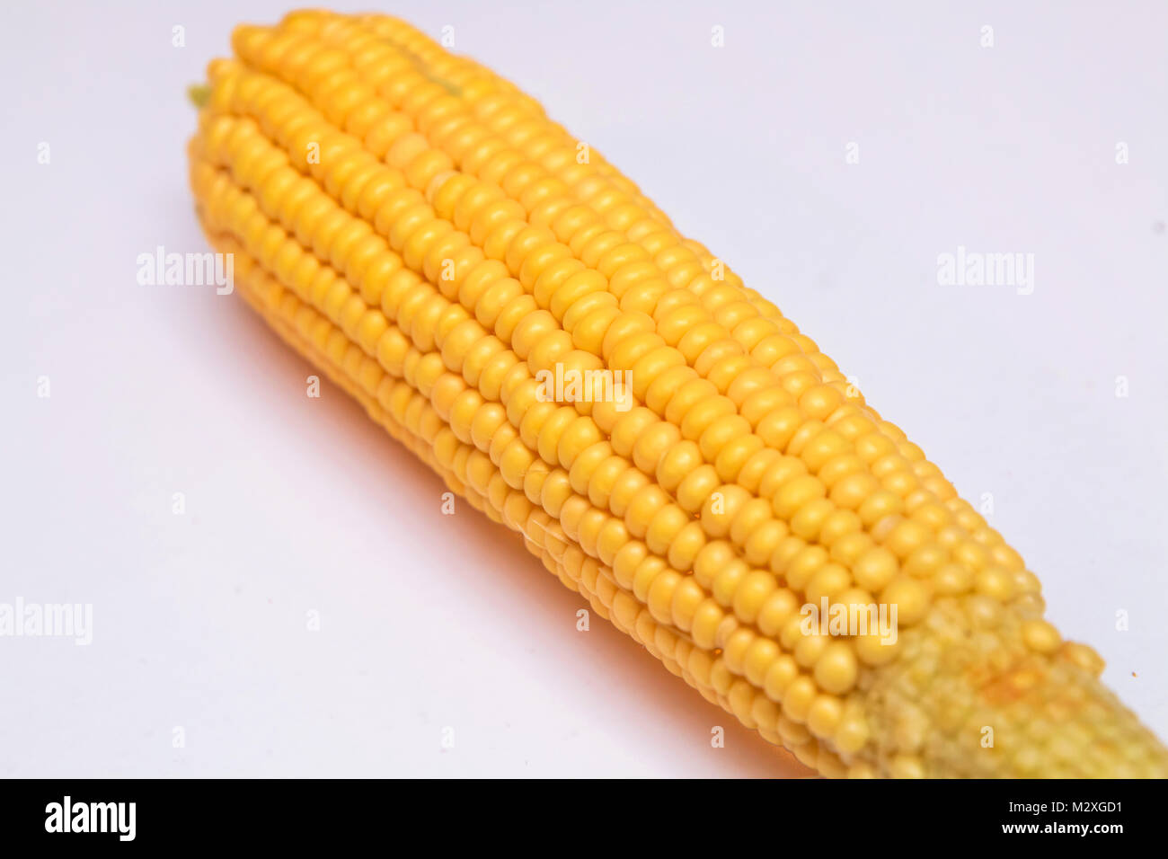 Raw corn on a white background, isolated Stock Photo - Alamy