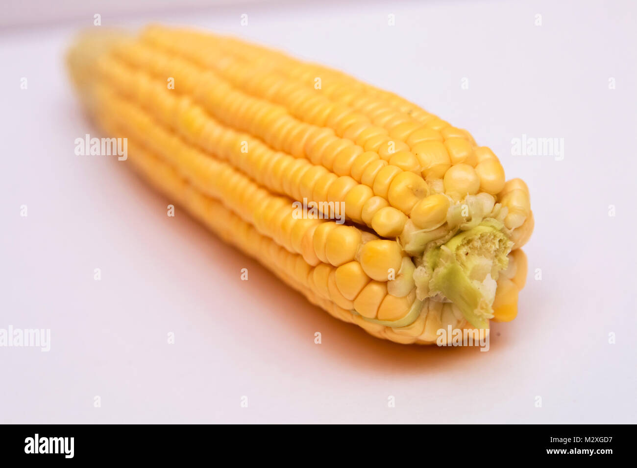 Ear of corn isolated on white . Sweet corn is delicious and ready to ...