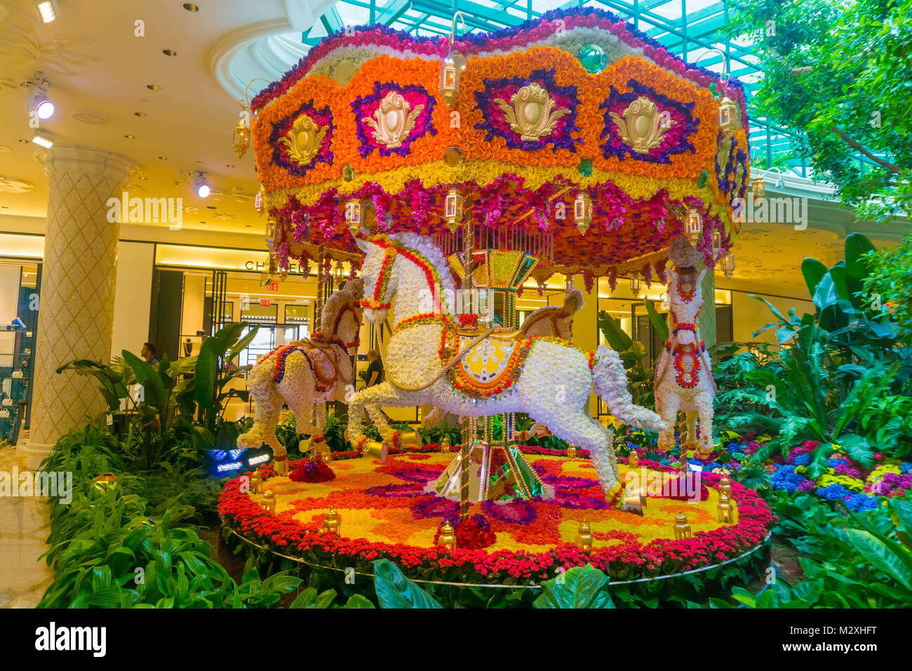 Las Vegas, United States of America - May 06, 2016: Flowers ...