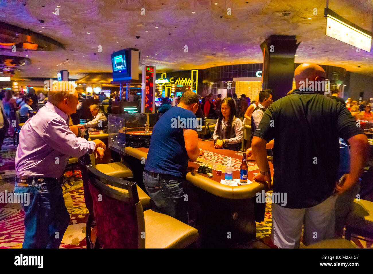Woman playing the slot machines hi-res stock photography and images - Alamy