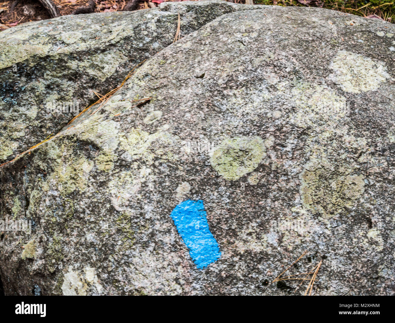 trail marker acadia np maine Stock Photo - Alamy