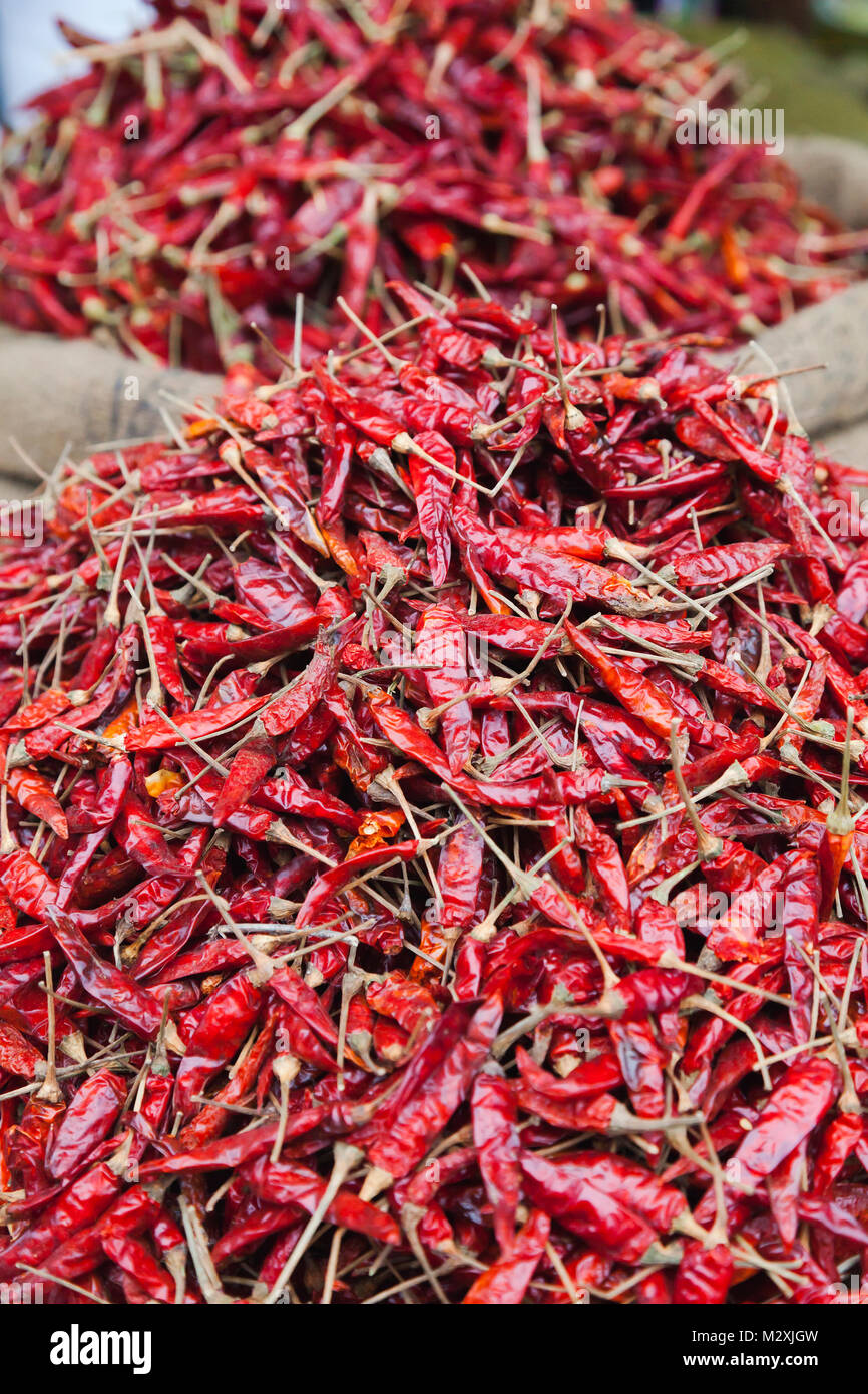 India, Karnataka, Bangalore, dry chili Stock Photo - Alamy