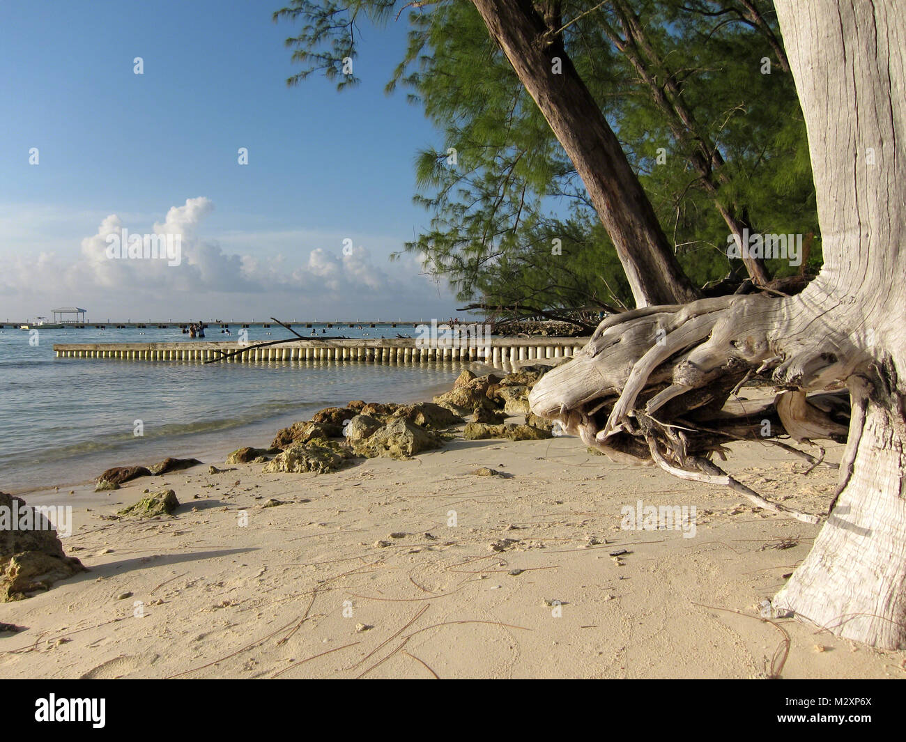 Rum Point Grand Cayman High Resolution Stock Photography and Images - Alamy