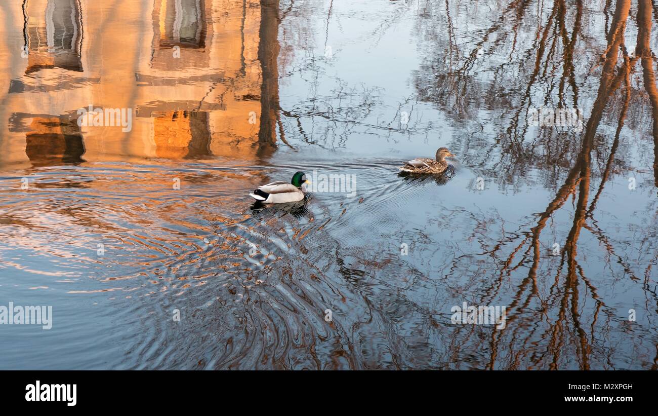 Old Purdys Mill Lindsay Ontario Stock Photo - Alamy