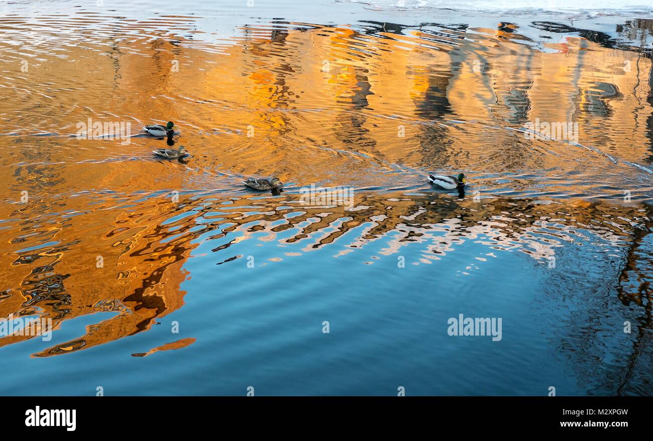 Old Purdys Mill Lindsay Ontario Stock Photo - Alamy