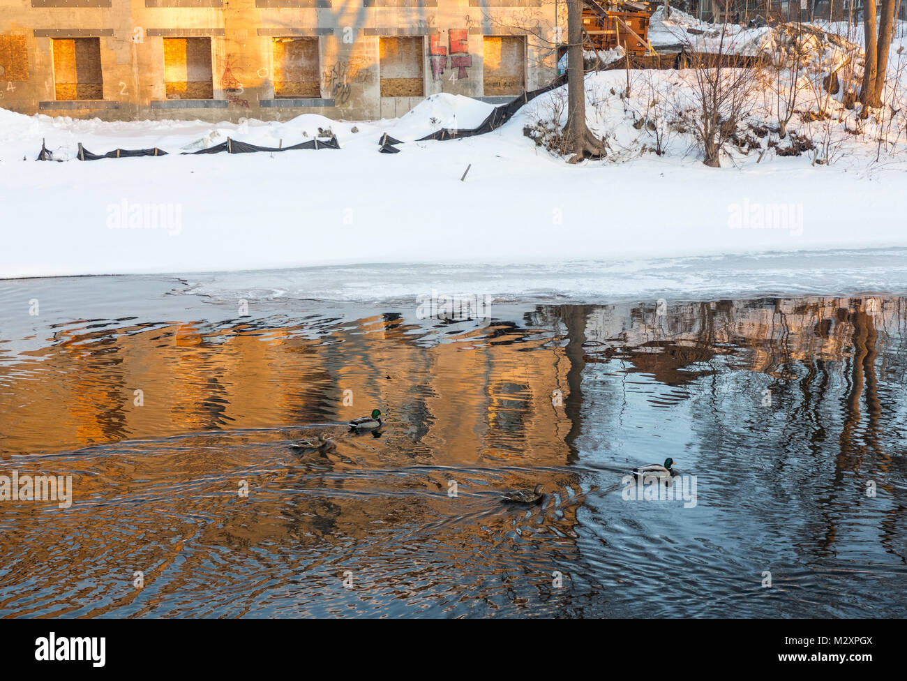 Old Purdys Mill Lindsay Ontario Stock Photo - Alamy