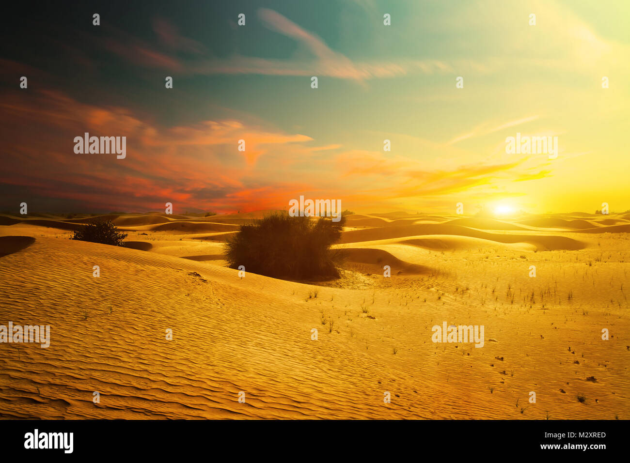 Desert sand dunes road at sunset Stock Photo - Alamy