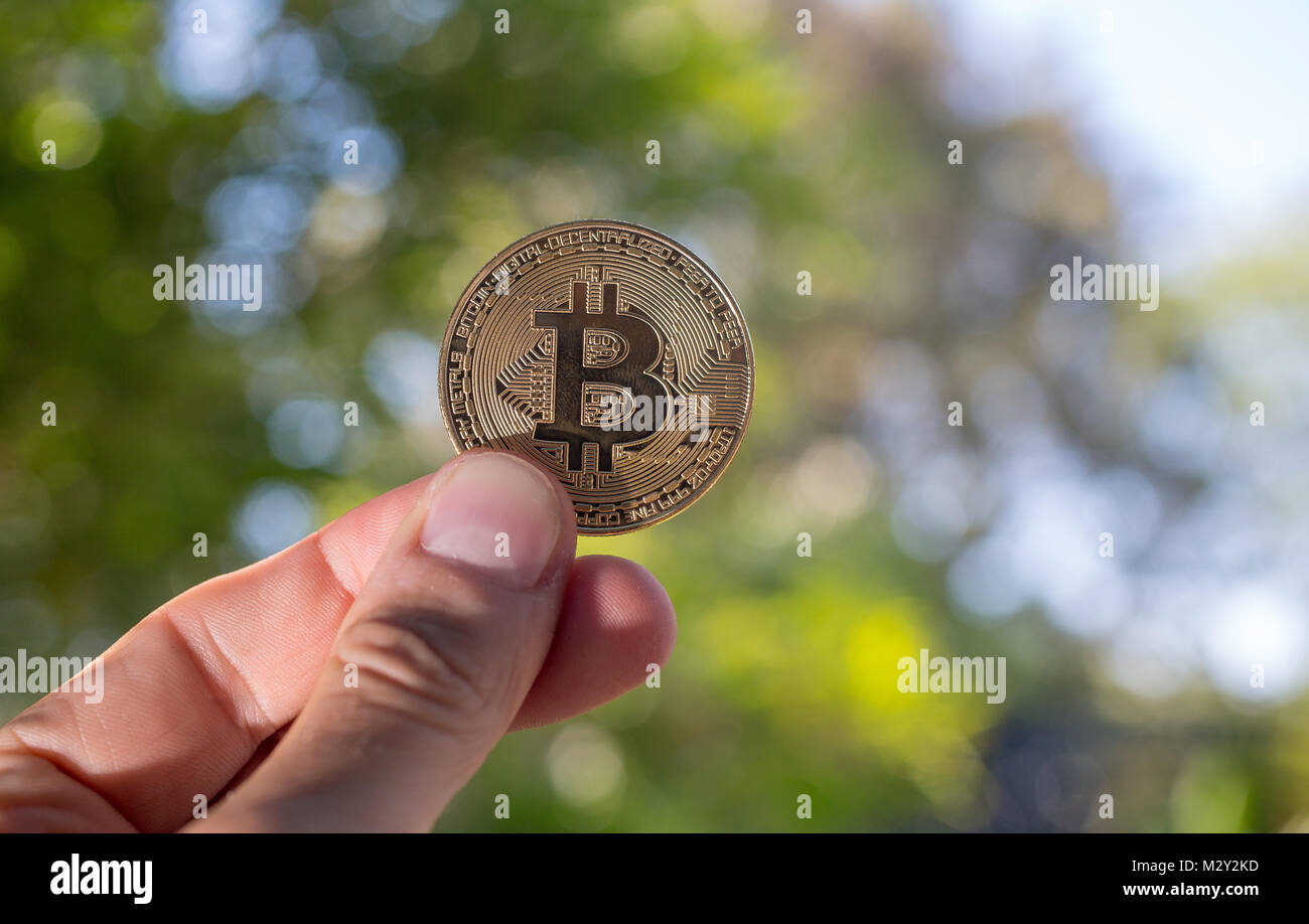 Person holding a Bitcoin Stock Photo - Alamy