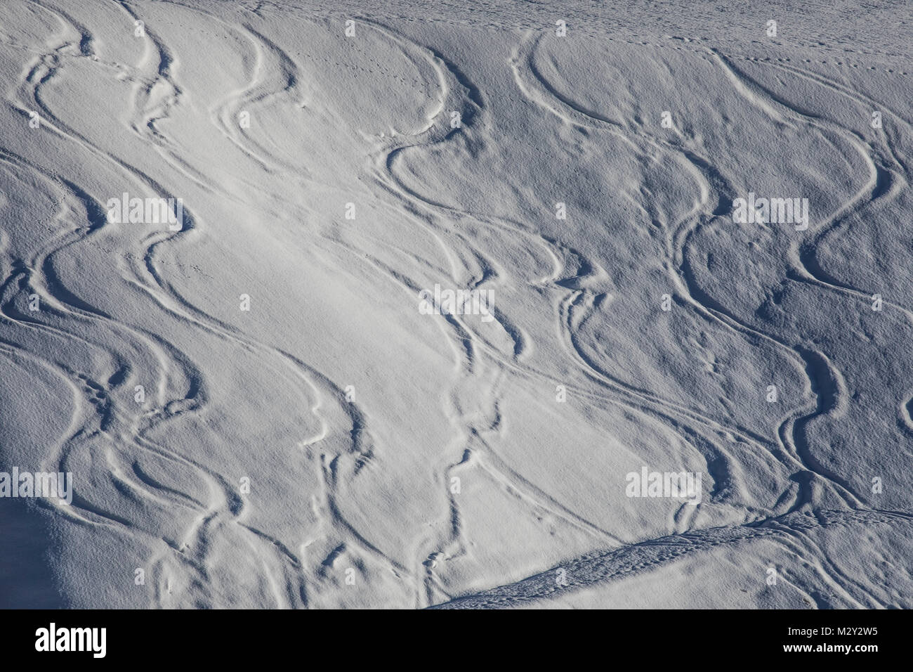 Ski tracks in the snow on an alpine slope Stock Photo - Alamy