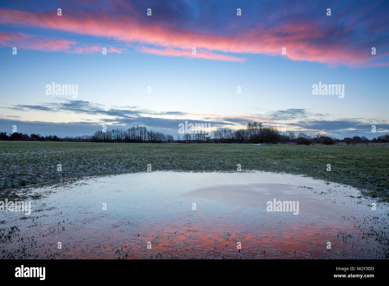 Reflecting blades of grass hi-res stock photography and images - Alamy