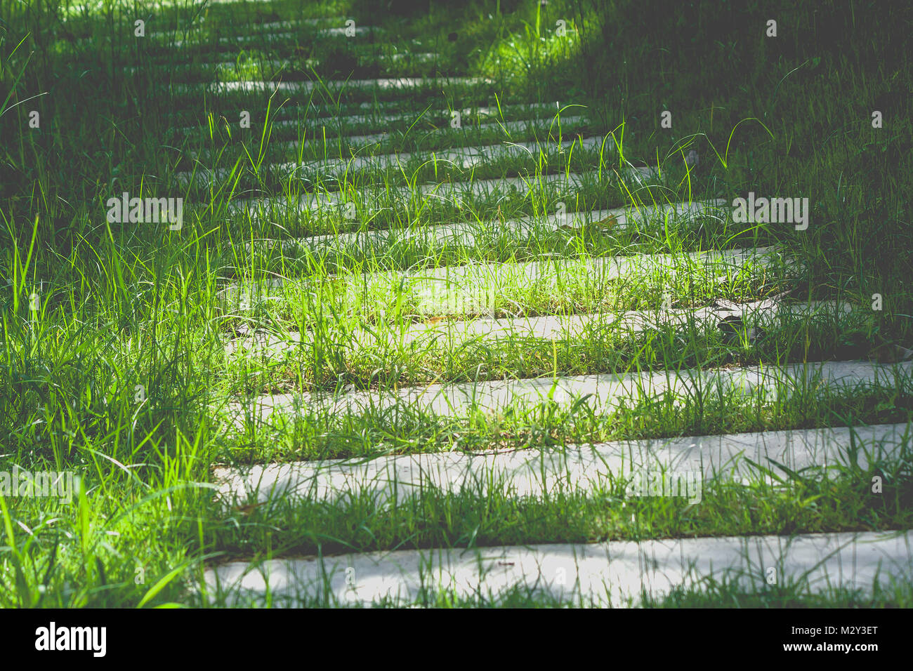 Close up concrete footpath or walkway on green grass surrounded with ...