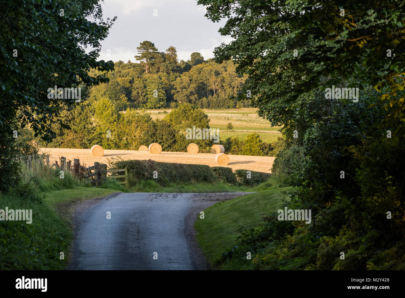 A British Summer Scene Stock Photo - Alamy