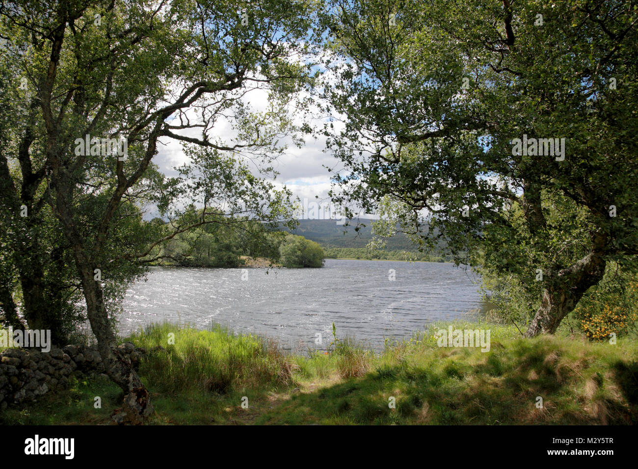 Loch Kinord in the Muir of Dinnet National Nature Reserve near Ballater ...