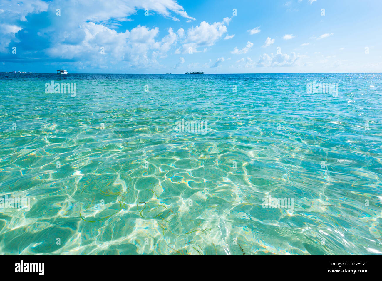 The Sea of the Seven Colors, San Andres Island, Colombia, South America ...