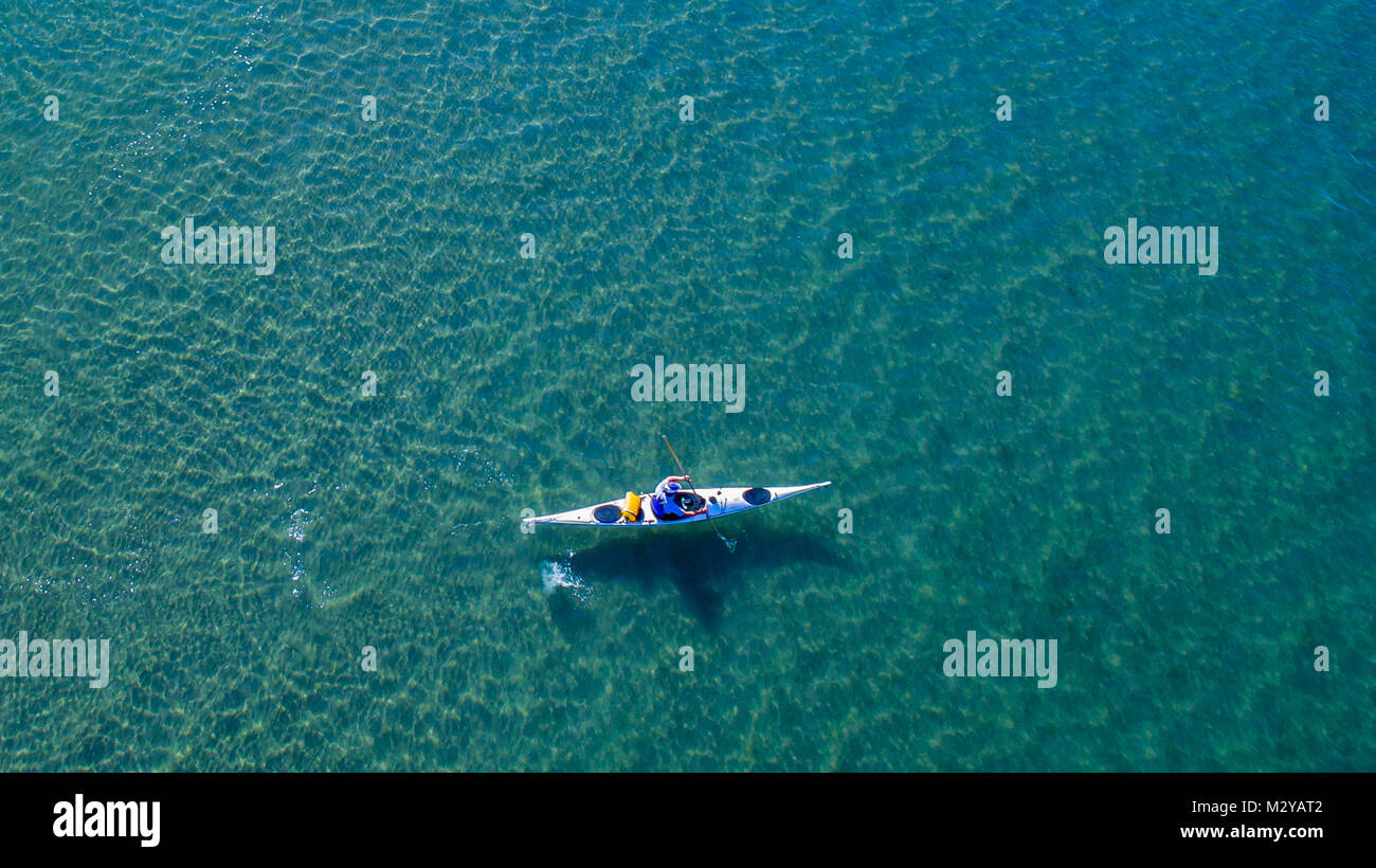 Aerial Drone top view, Kayaking in the Adriatic sea Stock Photo - Alamy