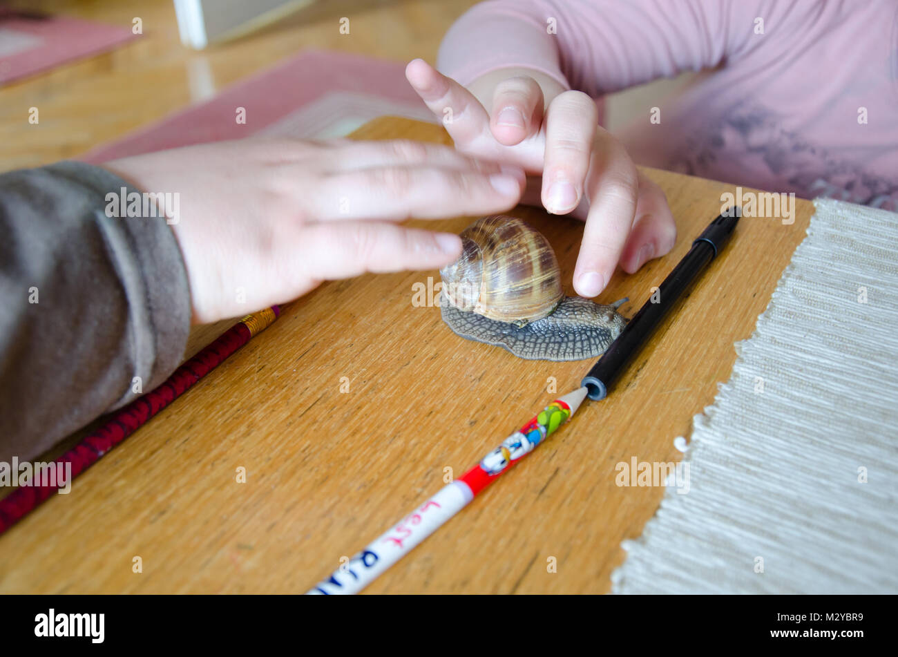 Little finger snail hi-res stock photography and images - Alamy