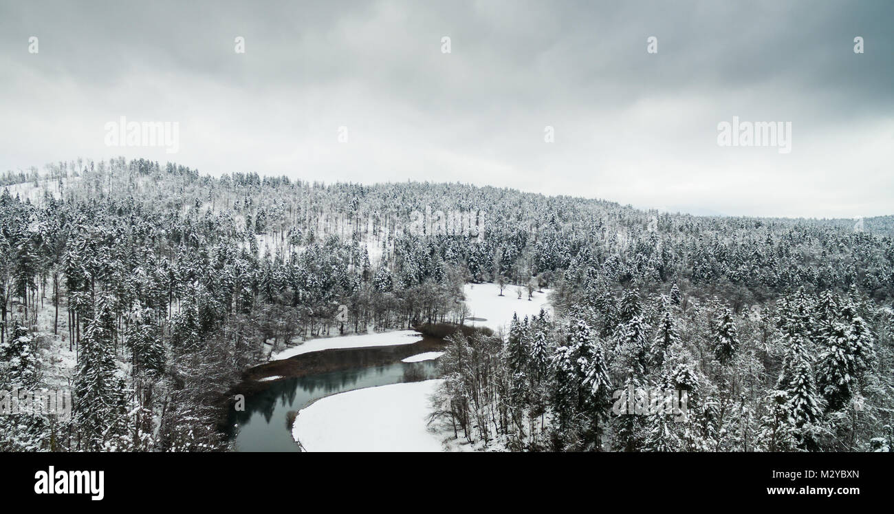 Aerial view of winter snow covered forest landscape. Drone photography ...