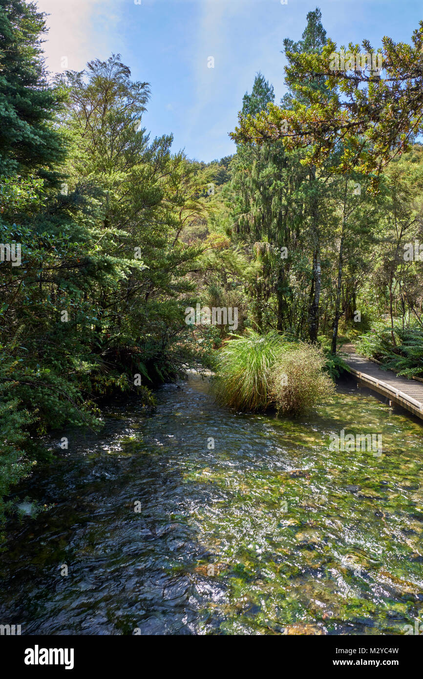 Springs River at Te Waikoropupu Springs. Takaka, Nelson Tasman, New ...
