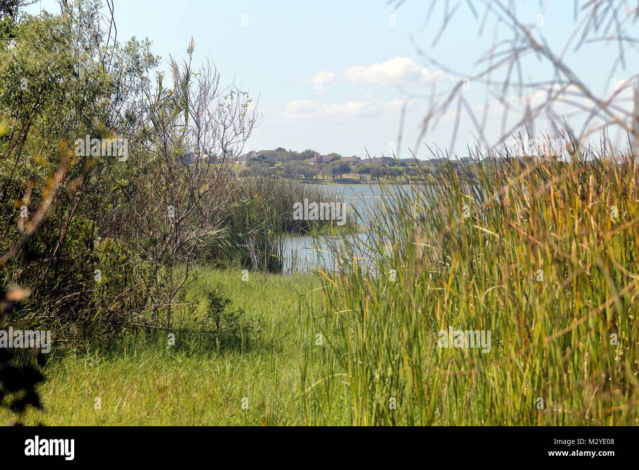 Lake corpus christi state park hi-res stock photography and images - Alamy