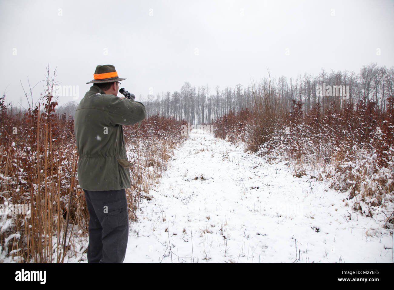 Hunter prepares to shoot wild boar Stock Photo - Alamy