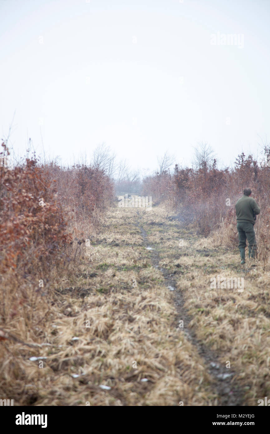 Hunter prepares to shoot wild boar. A hunter is just shooting a wild ...