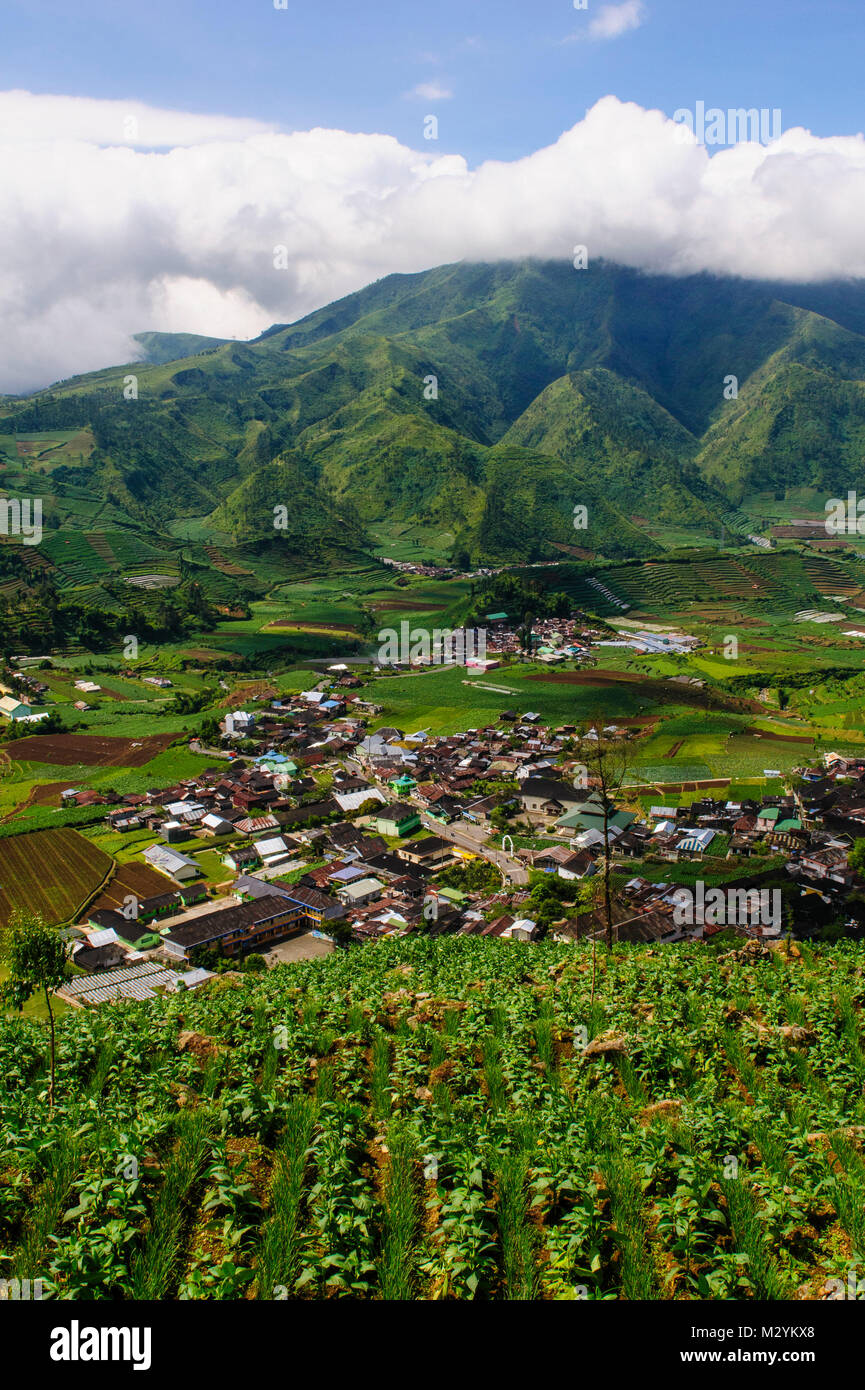 Overlook over the Dieng Plateau, Java, Indonesia Stock Photo - Alamy