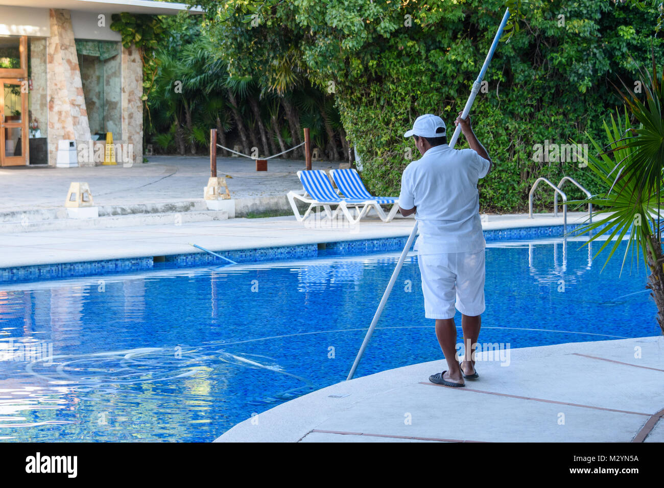 A man, personnel cleaning the pool at a tropical resort Stock Photo - Alamy