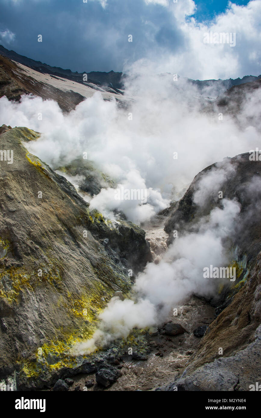 Smoking fumaroles on Mutnovsky volcano, Kamchatka, Russia Stock Photo ...