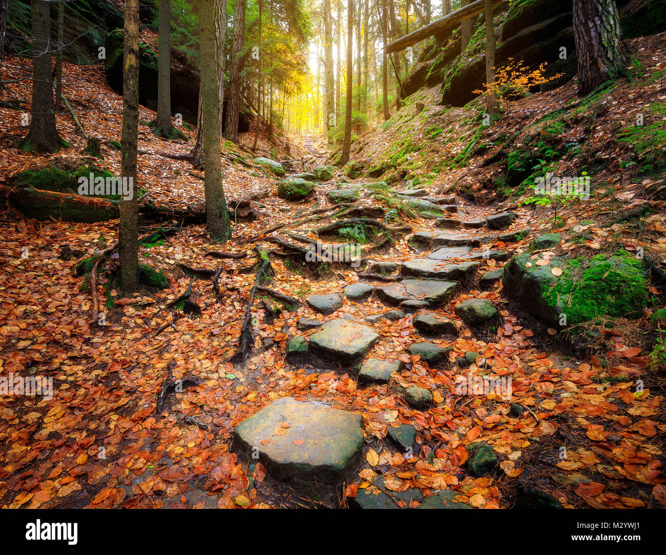 Bohemian landscapes hi-res stock photography and images - Alamy