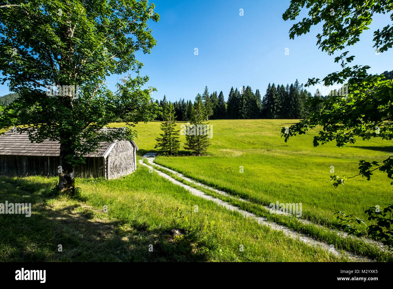 Landscape in the Alps of Austria Europa Stock Photo - Alamy