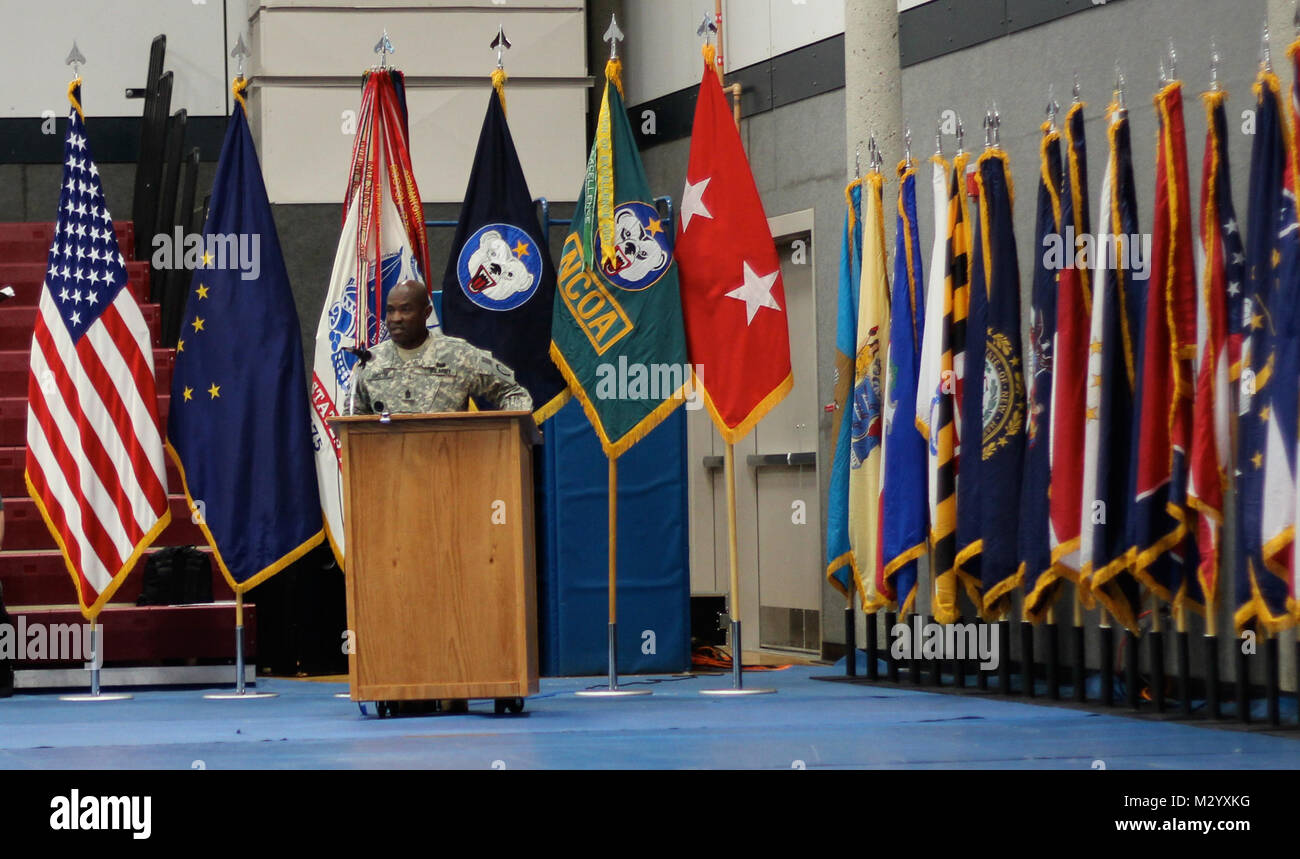 Command Sgt. Maj. Alexis Shelton, Command Sergeant Major of 2nd Battalion, 8th Field Artillery ...