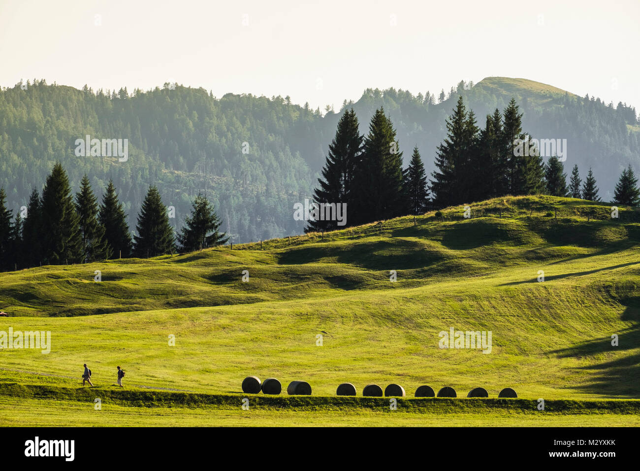 Austria europa hi-res stock photography and images - Alamy