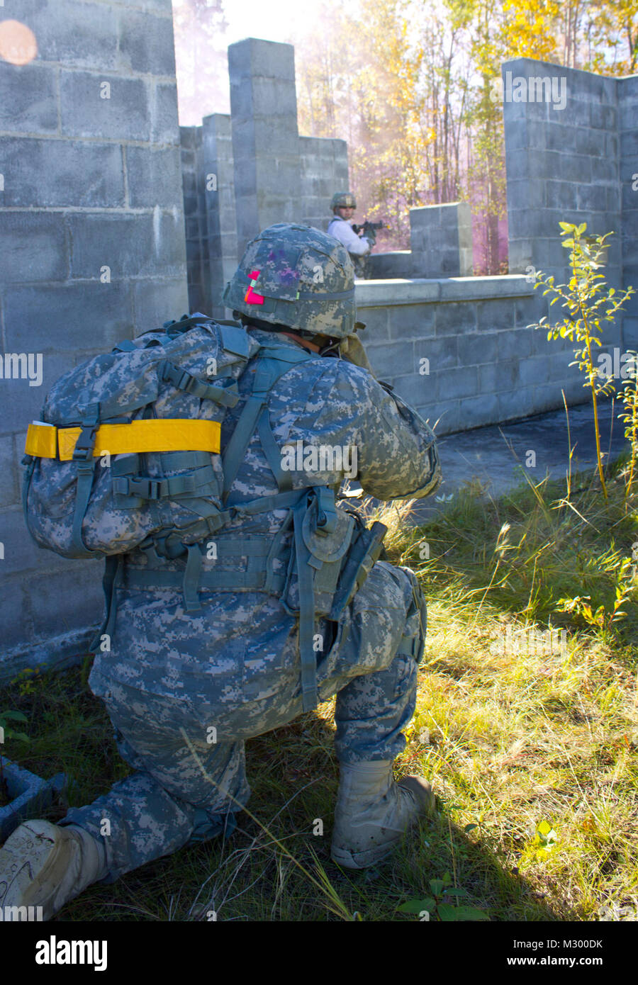 A Soldier from the 1st Stryker Brigade Combat Team, 25th Infantry ...