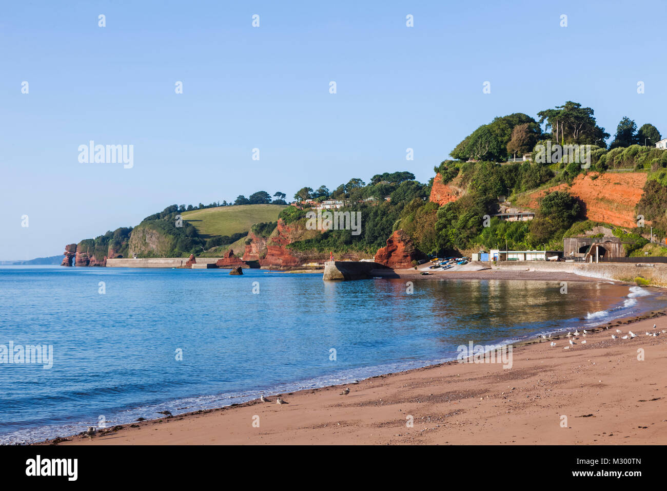 Dawlish beach hi-res stock photography and images - Alamy