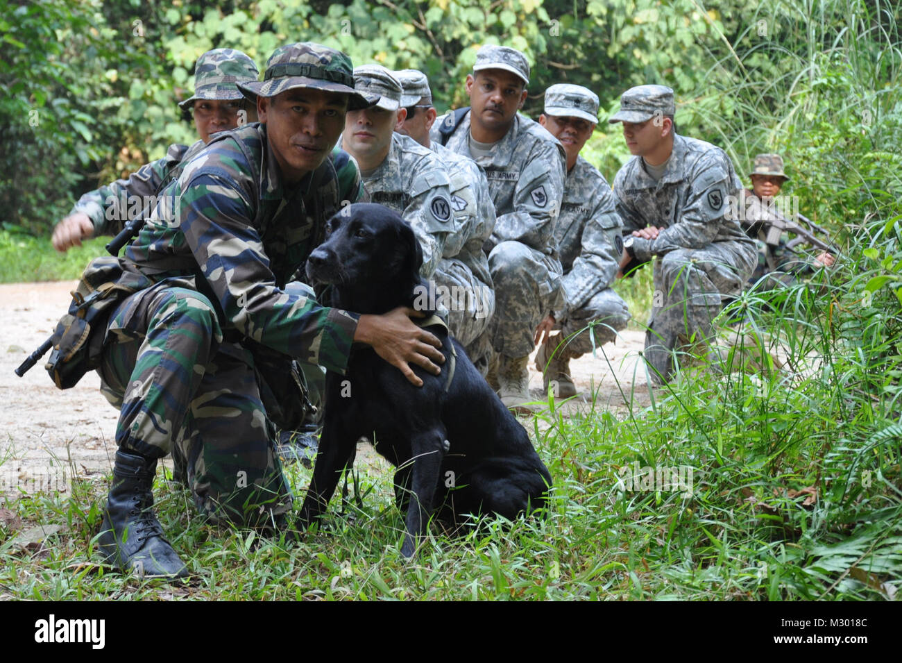 Ranger dog tracking team by Georgia National Guard Stock Photo - Alamy