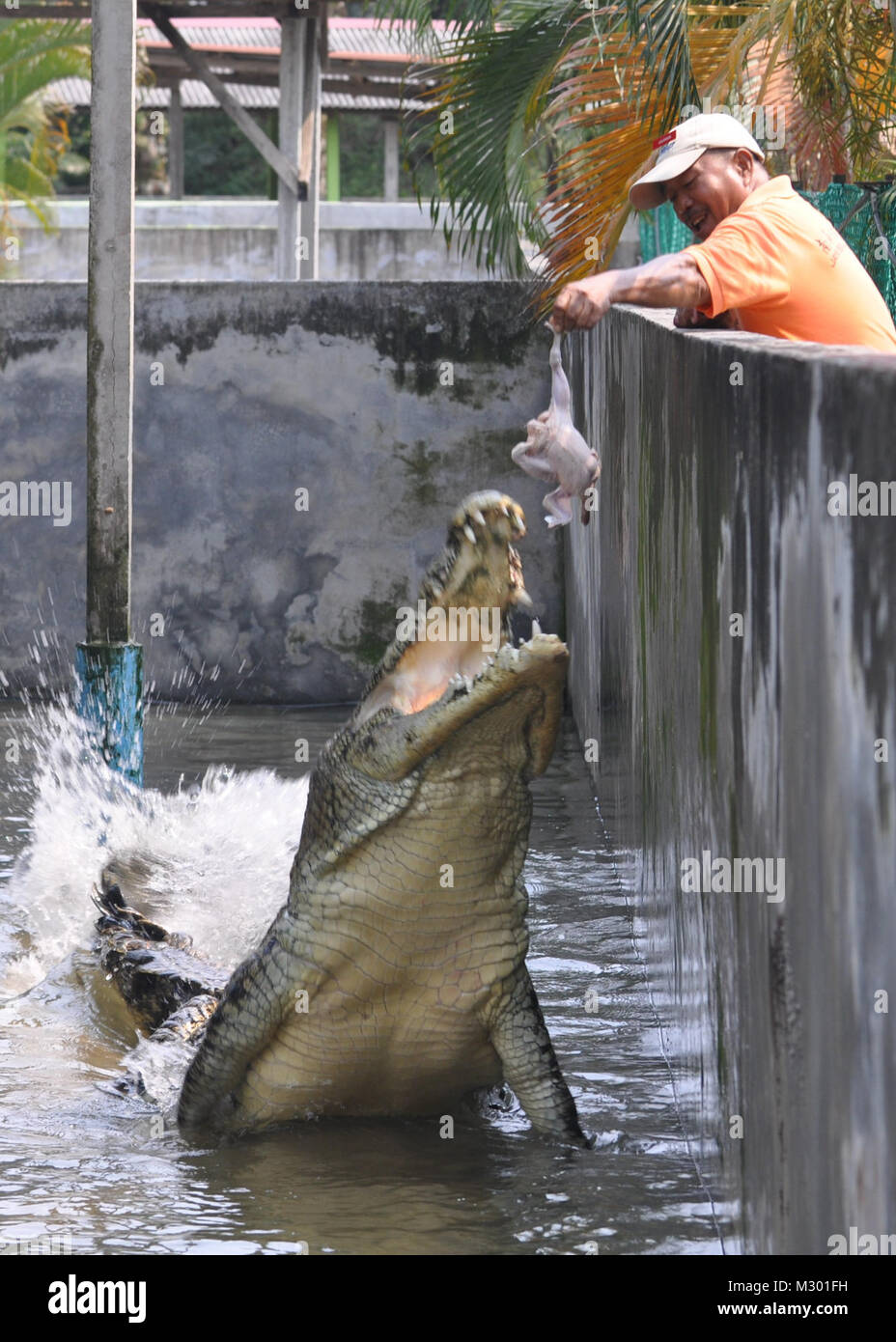 Crocodile World in Malaysia by Georgia National Guard Stock Photo - Alamy