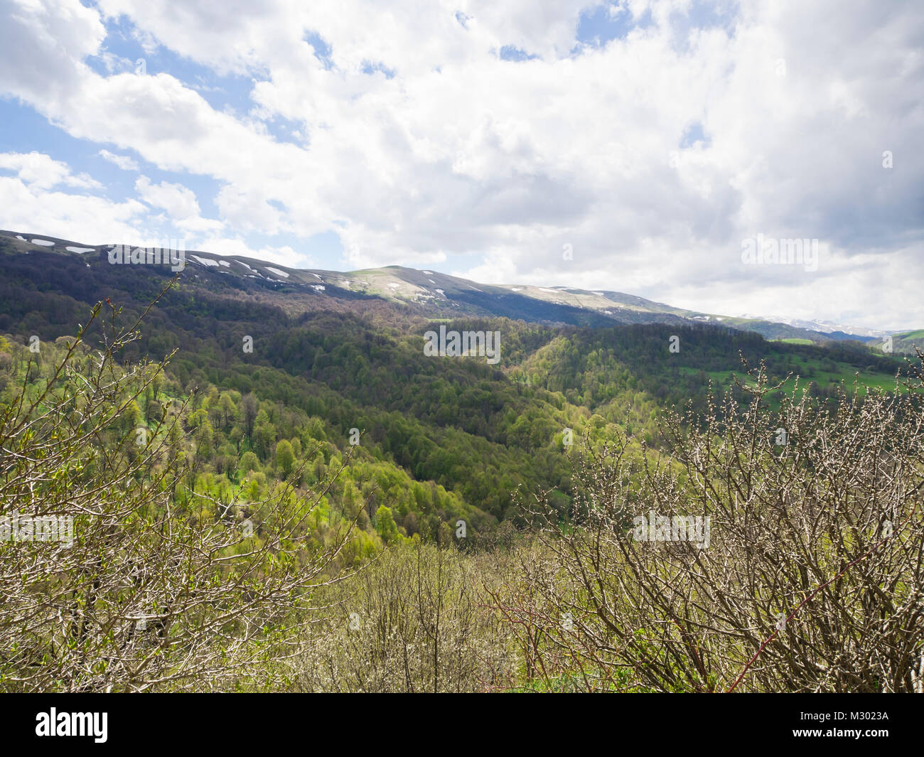 Dilijan national park hi-res stock photography and images - Alamy